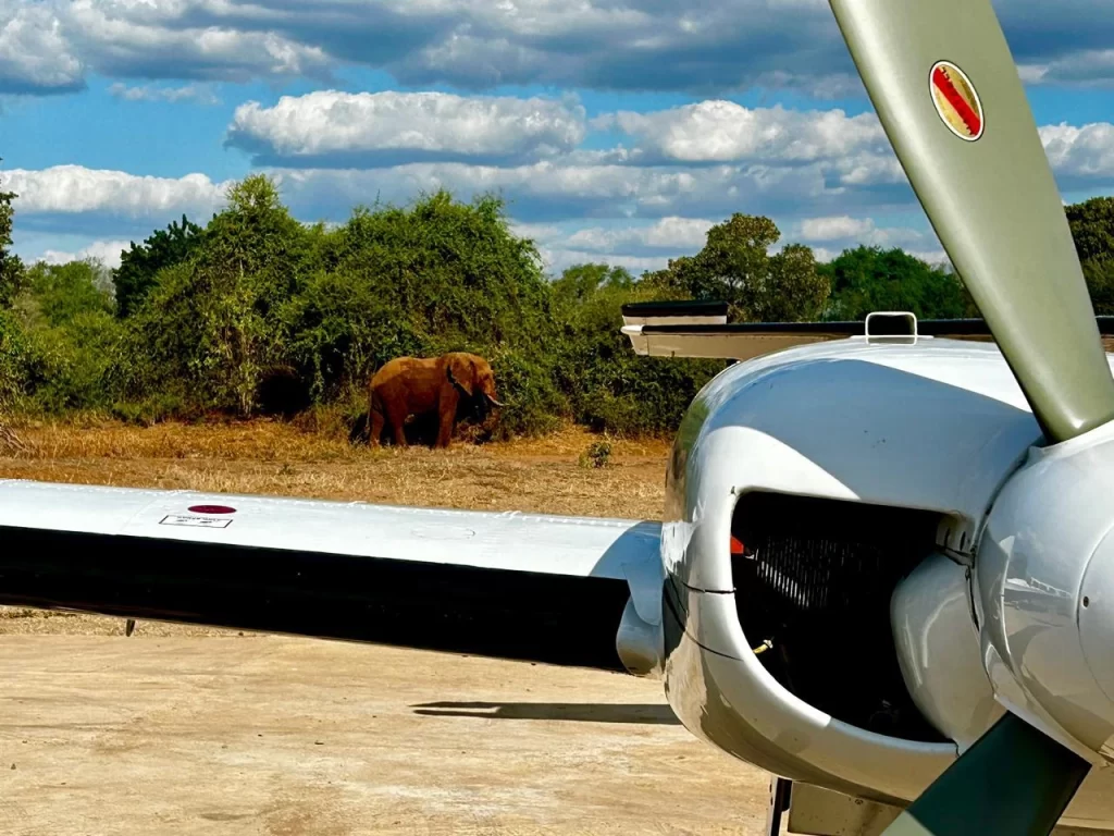 Vertex Ventures Aviation – Vertex Ventures Private Charter Flights